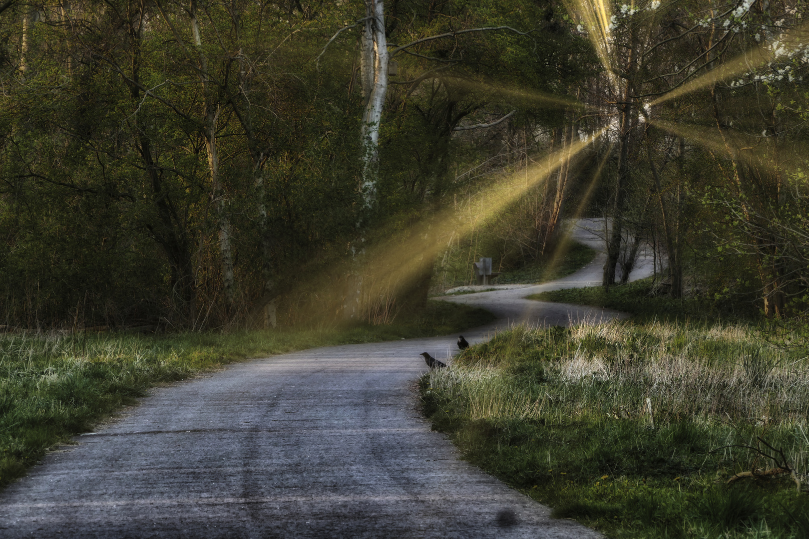 Schwingungen Foto & Bild | fotomontage, landschaften, natur Bilder auf fotocommunity