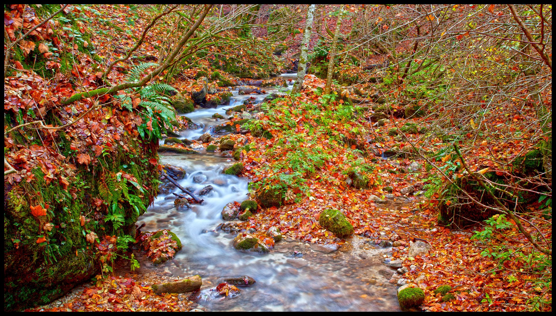 scorcio d"autunno Foto % Immagini| paesaggi, laghi e fiumi, natura Foto ...