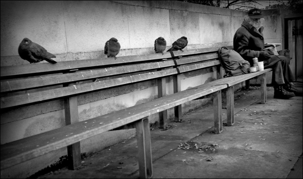 SDF photo et image | personnes Images fotocommunity