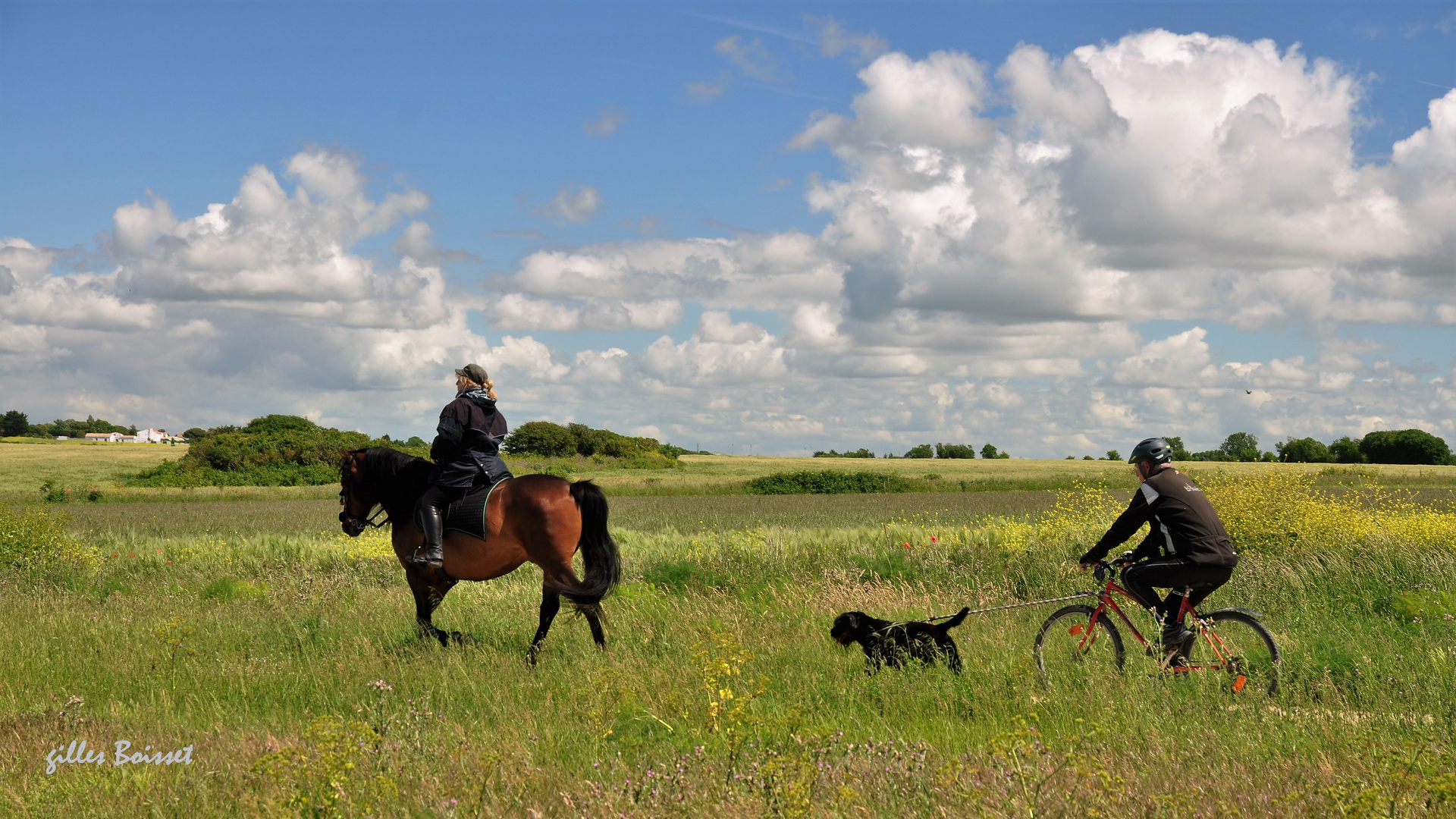 Se balader dans le printemps photo et image | paysages, scènes de vie ...