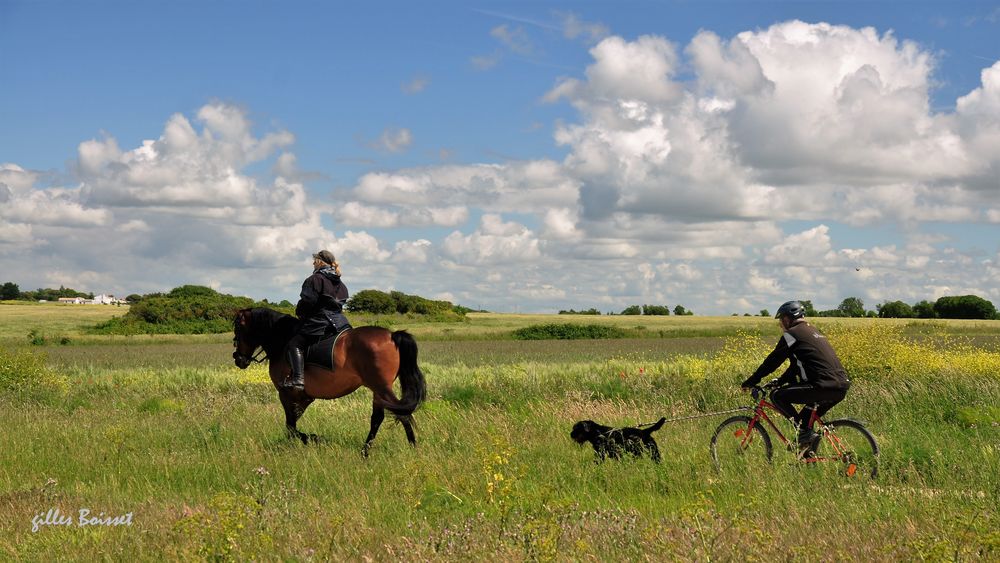 Se balader dans le printemps photo et image | paysages, scènes de vie ...