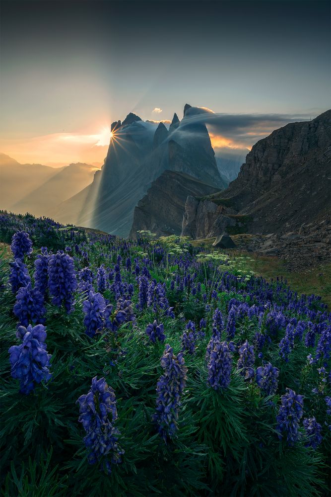 Seceda Foto & Bild | landschaft, natur Bilder auf fotocommunity