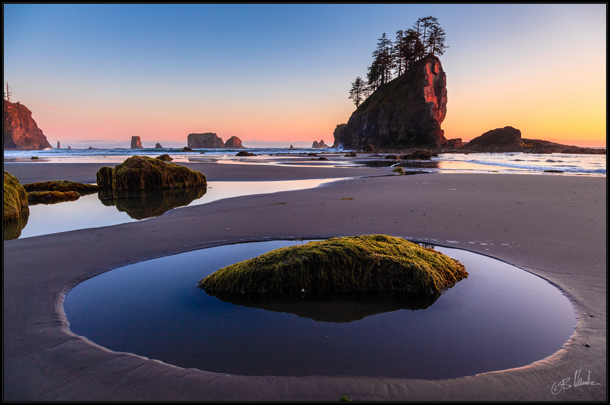 Second Beach Tidepool Foto & Bild | north america, united states, north ...
