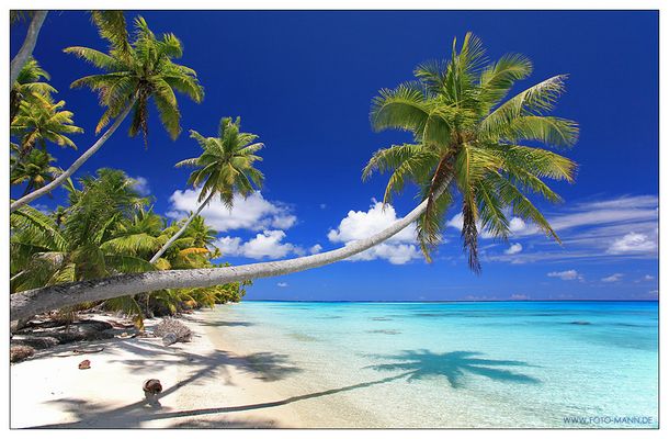 Polynesia Bilder & Fotos