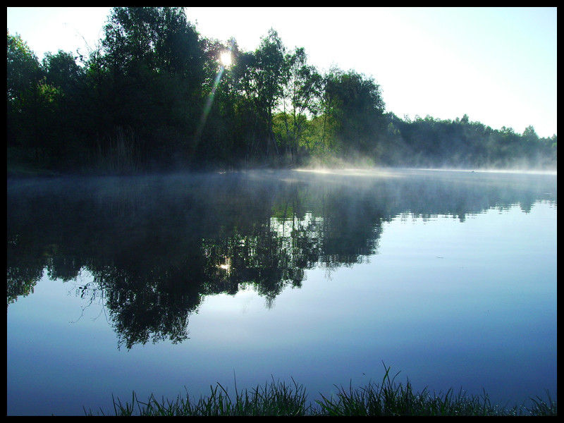 See Foto & Bild | natur-kreativ, natur Bilder auf fotocommunity