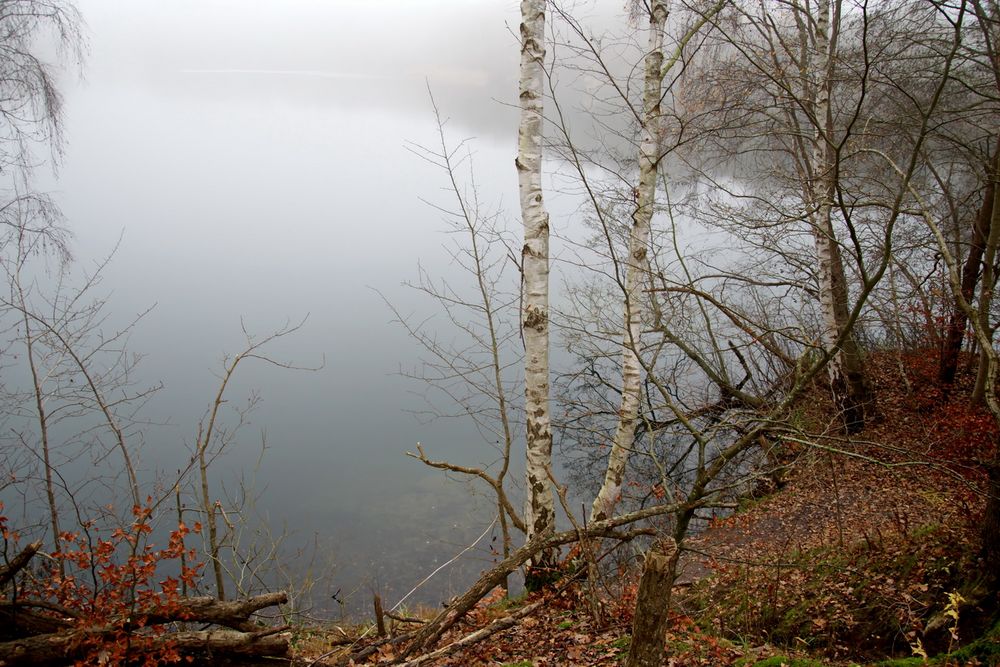 See im Nebel Foto & Bild | landschaft, jahreszeiten, bach, fluss & see Bilder auf fotocommunity