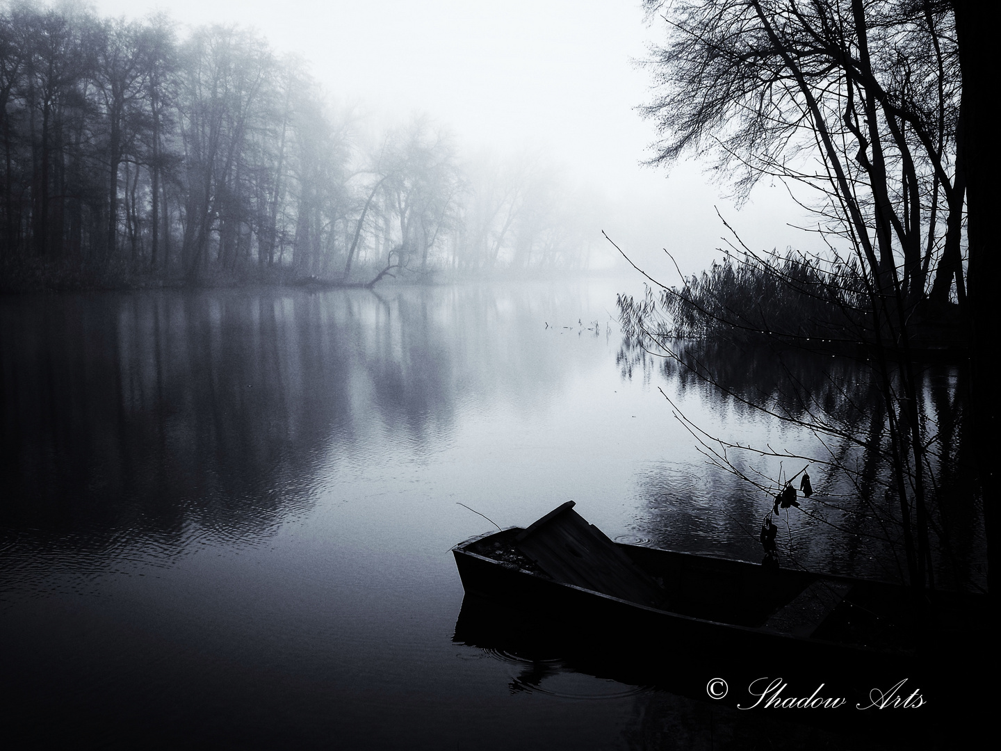 See im Nebel Foto & Bild | kunstfotografie & kultur, eigene ...