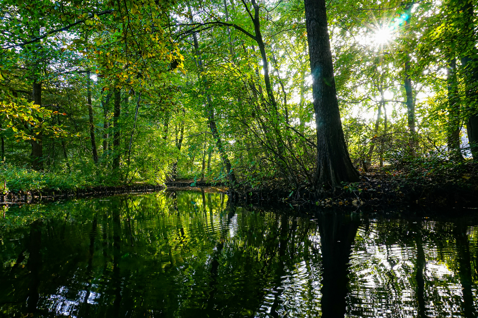 See im Wald Foto & Bild | landschaft, bach, fluss & see, wald Bilder auf fotocommunity