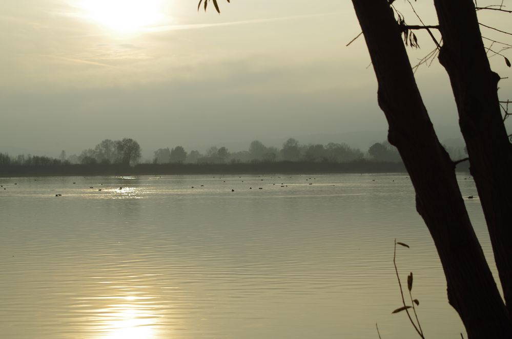 See im Winter Foto & Bild | landschaft, bach, fluss & see, see, teich & tümpel Bilder auf ...