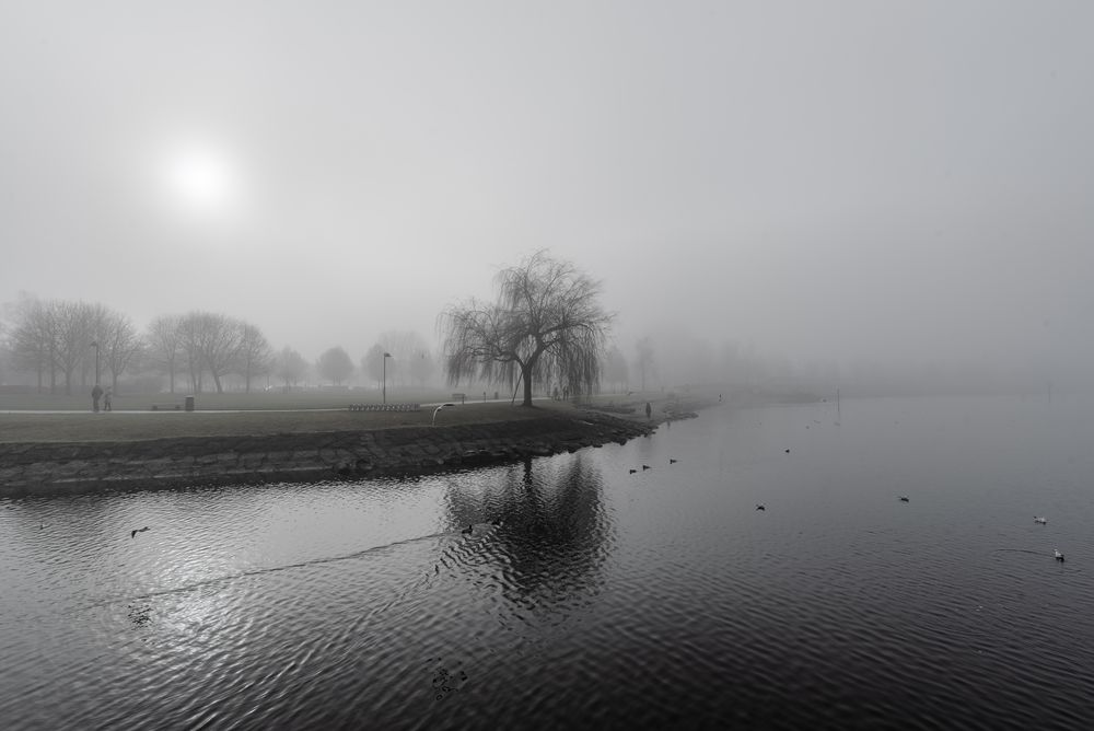 See & Nebel Foto & Bild | landschaft, jahreszeiten, herbst Bilder auf fotocommunity