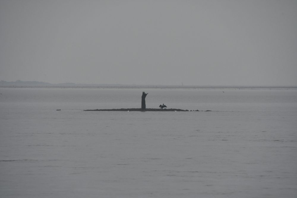 See-Zeichen Foto & Bild | landschaft, meer & strand, watt Bilder auf ...