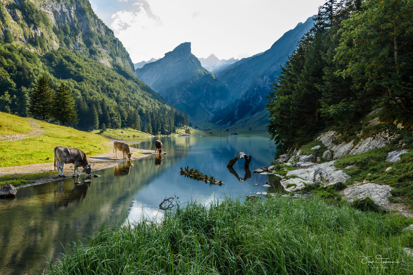 Seealpsee Foto & Bild | landschaft, bach, fluss & see, see, teich ...