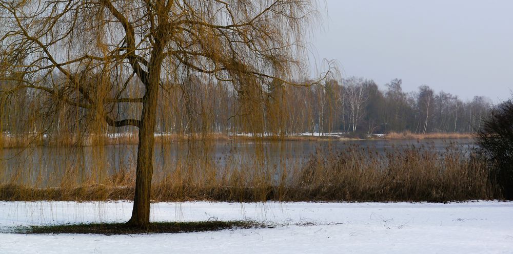 Seeblick Foto & Bild | landschaft, jahreszeiten, winter Bilder auf fotocommunity