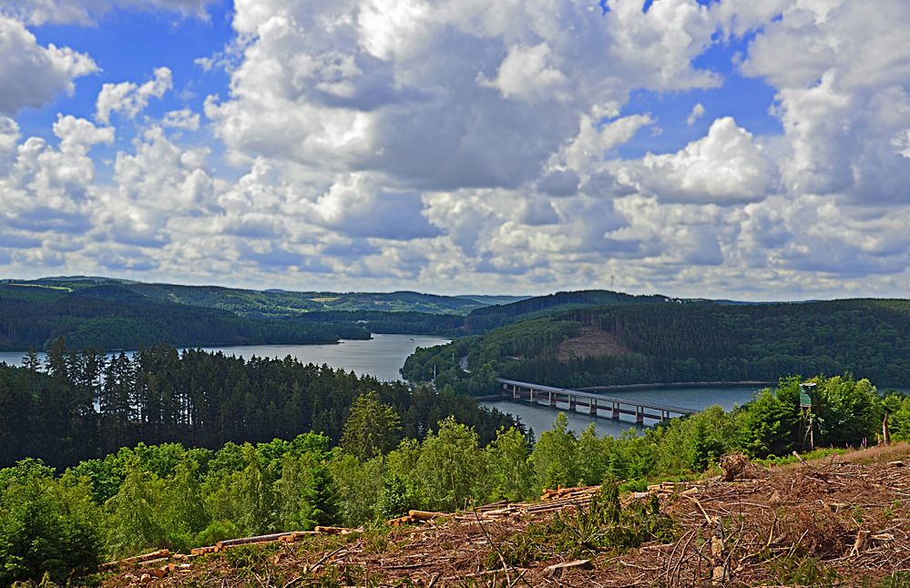 Seeblick Foto & Bild | world, natur, see Bilder auf fotocommunity