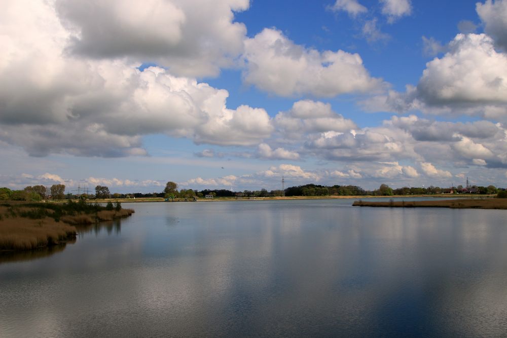 Seeblick -Wangermeer- Foto & Bild | landschaft, bach, fluss & see, see ...