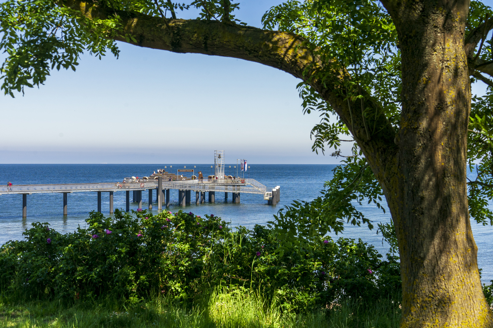 Seebrücke im Ostseebad Koserow I Foto & Bild | deutschland, europe ...
