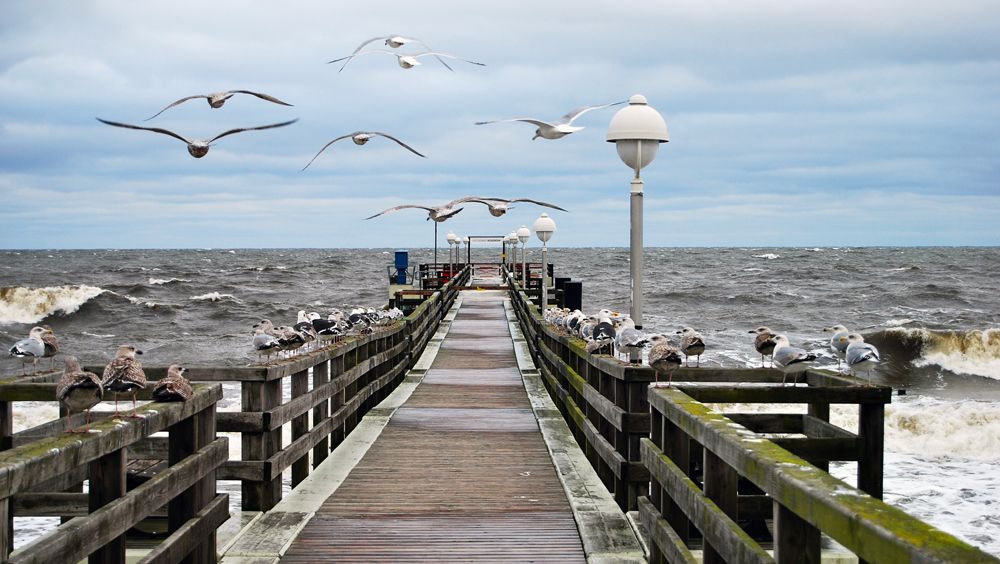 Seebrücke von " Koserow " Foto & Bild | deutschland, europe ...