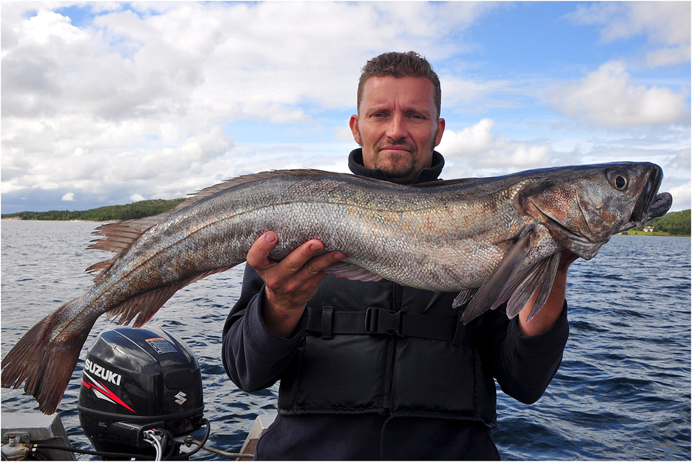 Seehecht aus dem Foldafjord Foto & Bild | sport, angeln fliegenfischen ...