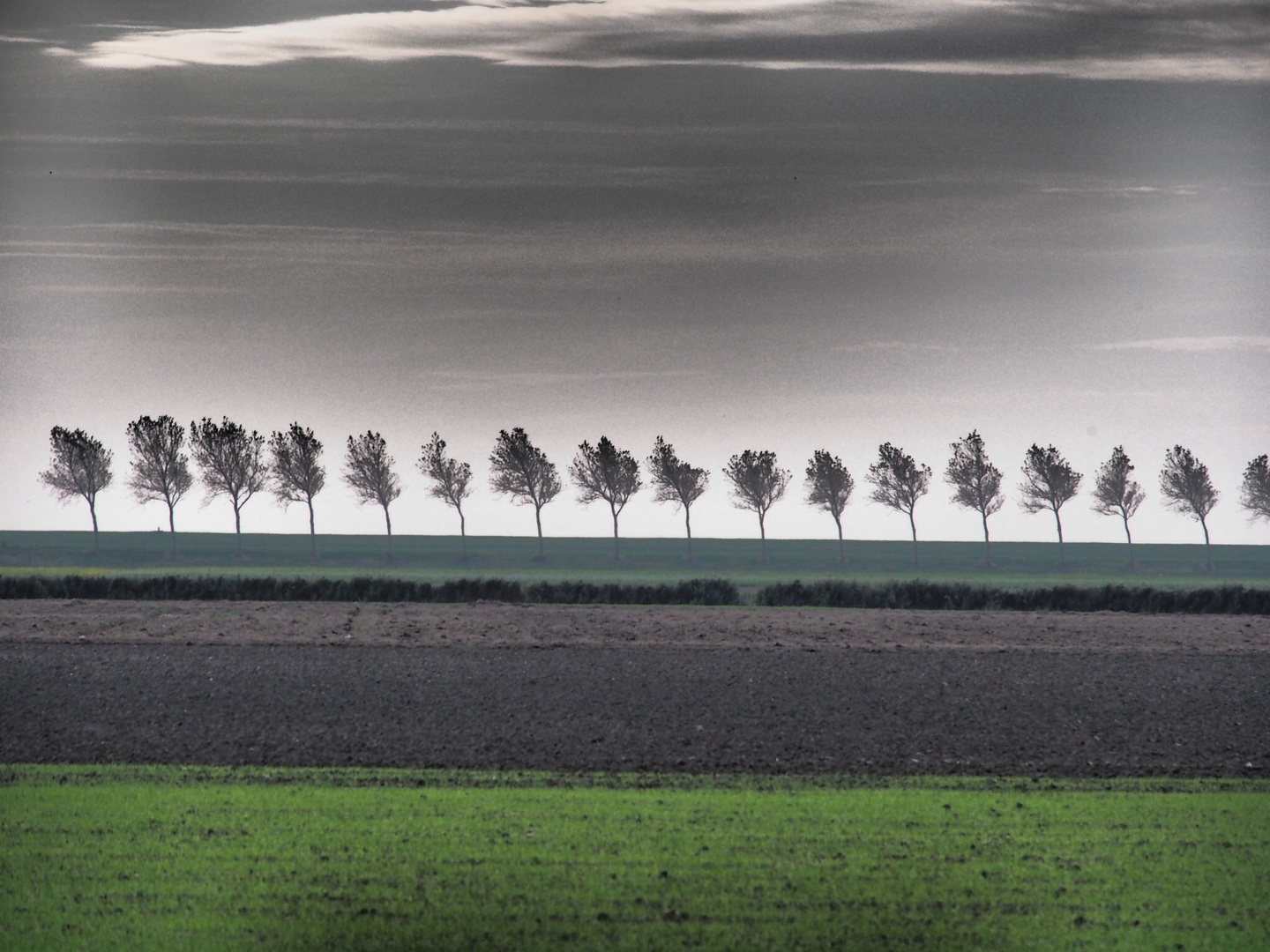 Seeland Foto & Bild | landschaft, alleen, natur Bilder auf fotocommunity