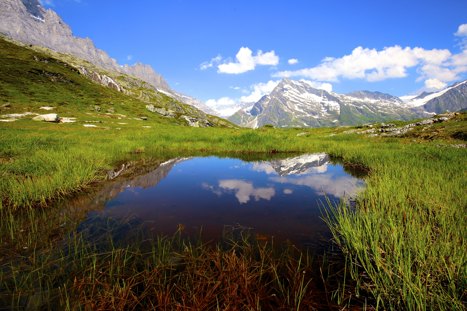 Seeli ob Windgällenhütte Foto & Bild | jahreszeiten, sommer, world ...