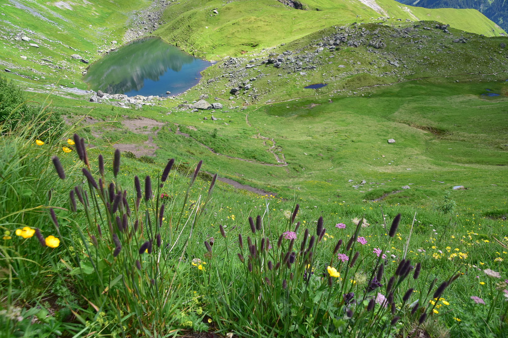 Seeli von oben Foto & Bild | landschaft, lebensräume, berge Bilder auf ...