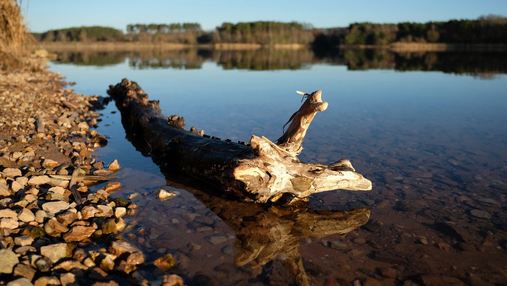 Seemonster Foto & Bild | stillleben, landschaft, bach, fluss & see Bilder auf fotocommunity