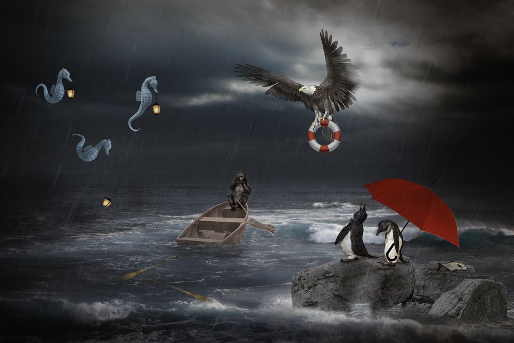 Seenot Foto & Bild | fotomontage, surreal, composing Bilder auf fotocommunity