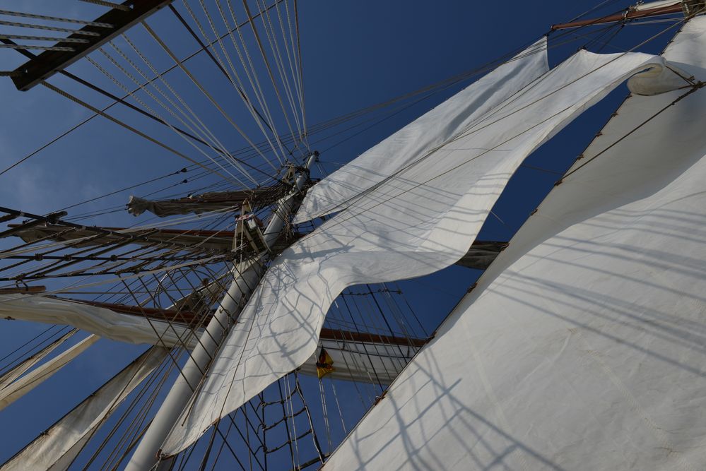 Segel Foto & Bild | hamburg, hafen, elbe Bilder auf fotocommunity