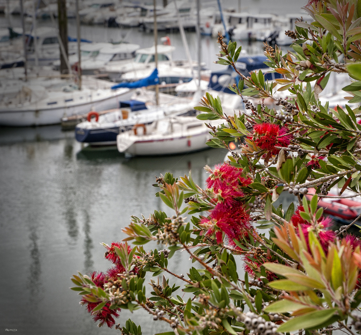 Segel setzen Foto & Bild | france, world, segeln Bilder auf fotocommunity