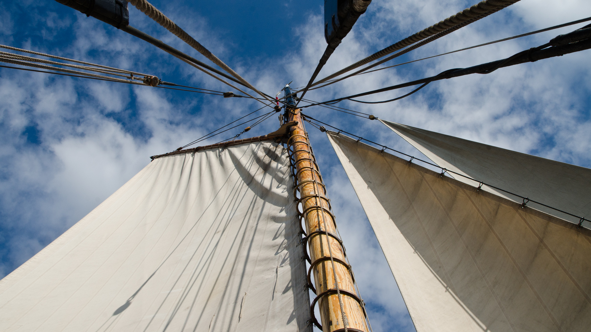 Segel unter Wind Foto & Bild | sport, segel- surf- & bootssportarten ...