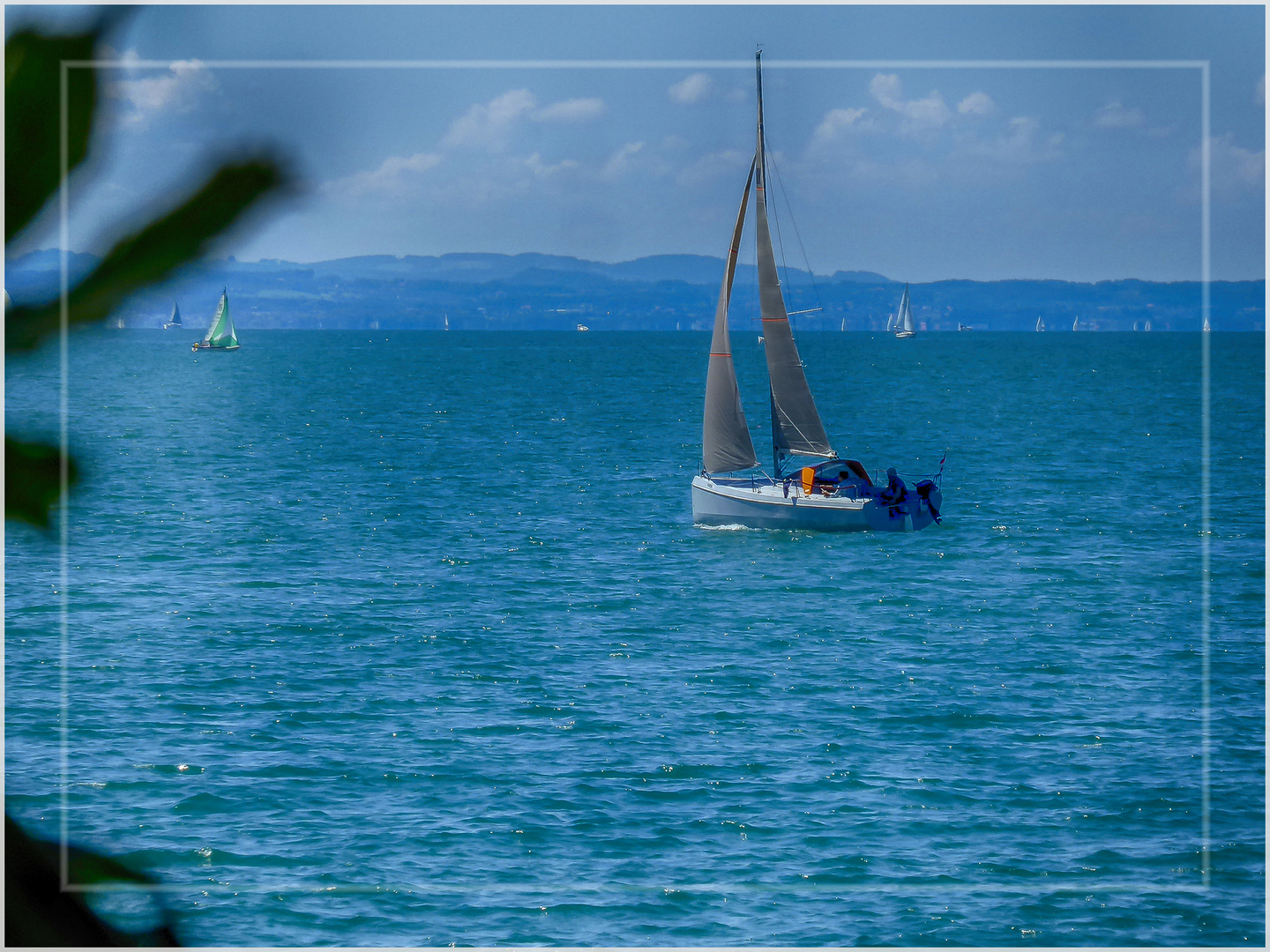 Segeln auf dem Bodensee Foto & Bild | fotos, spezial, dokumentation ...