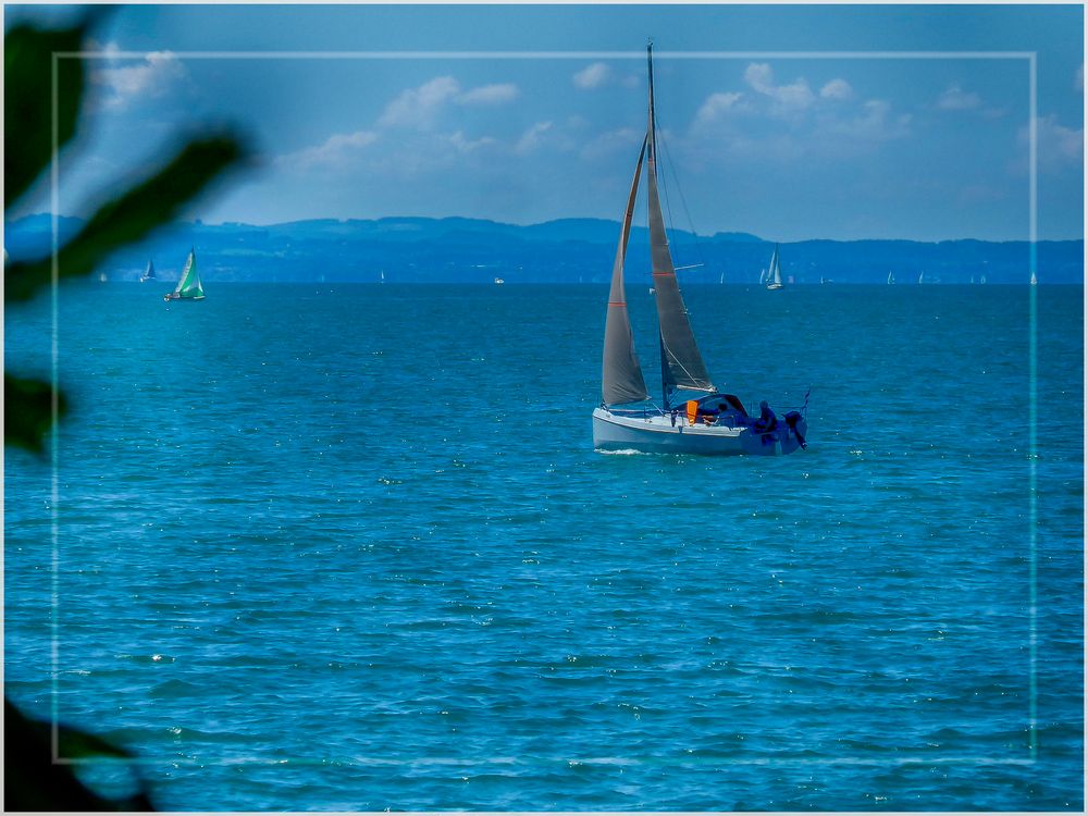 Segeln auf dem Bodensee Foto & Bild | fotos, spezial, dokumentation ...