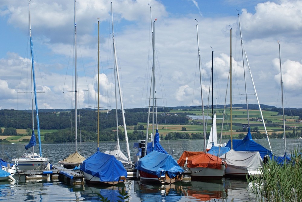 Segelschiffe im Hallwilersee Foto & Bild | sport, segel- surf ...