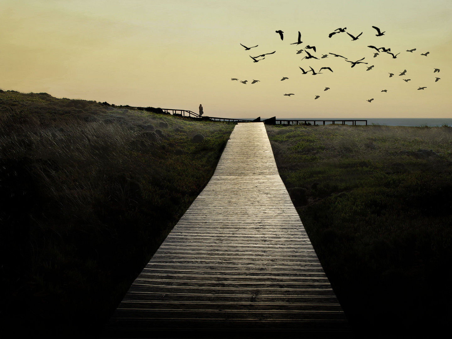 Sehnsucht Foto & Bild | spezial, meer, natur Bilder auf fotocommunity