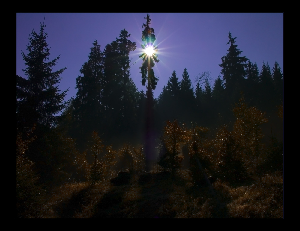 SEHNSUCHT NACH DEM LICHT - JENSEITS des Diesseits... (ein Seelenbild ...