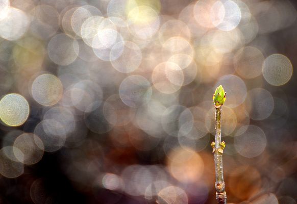 Simone Mathias - Fotos & Bilder - Fotografin aus Plüderhausen ...