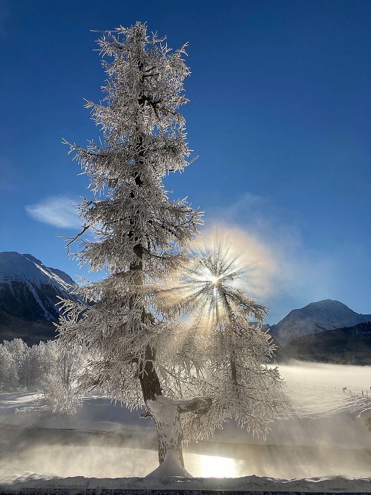 sehr kalt aber.... Foto & Bild | europe, schweiz & liechtenstein ...