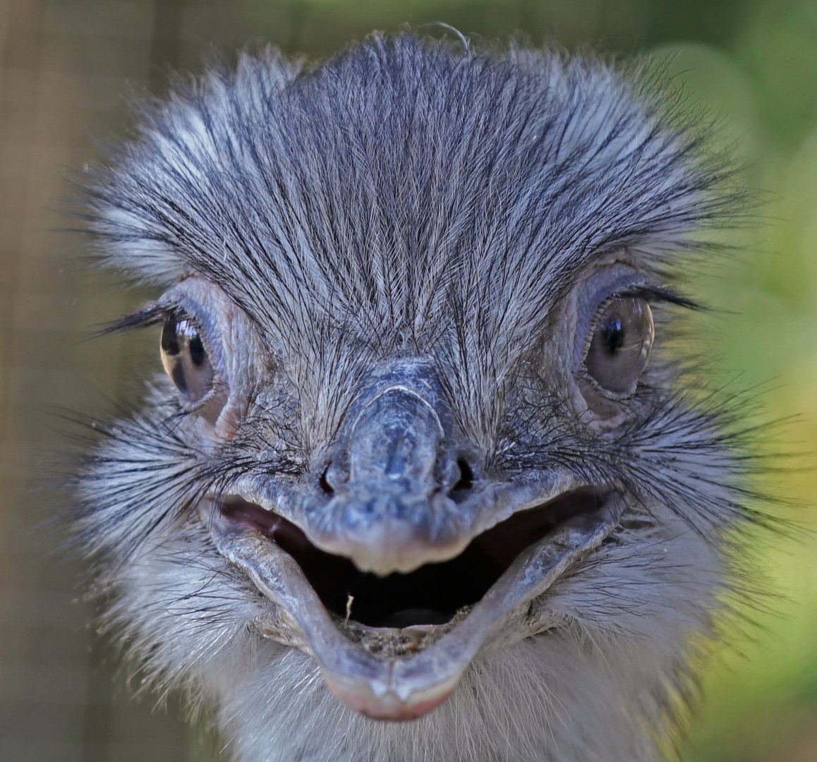 Sehr neugierig... Foto & Bild | fotos, youth, natur Bilder auf ...