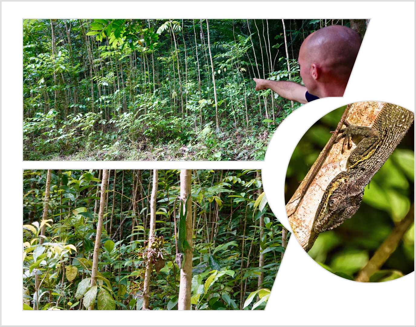 Seht ihr da…….! Foto & Bild | north america, central america, caribbean sea Bilder auf fotocommunity