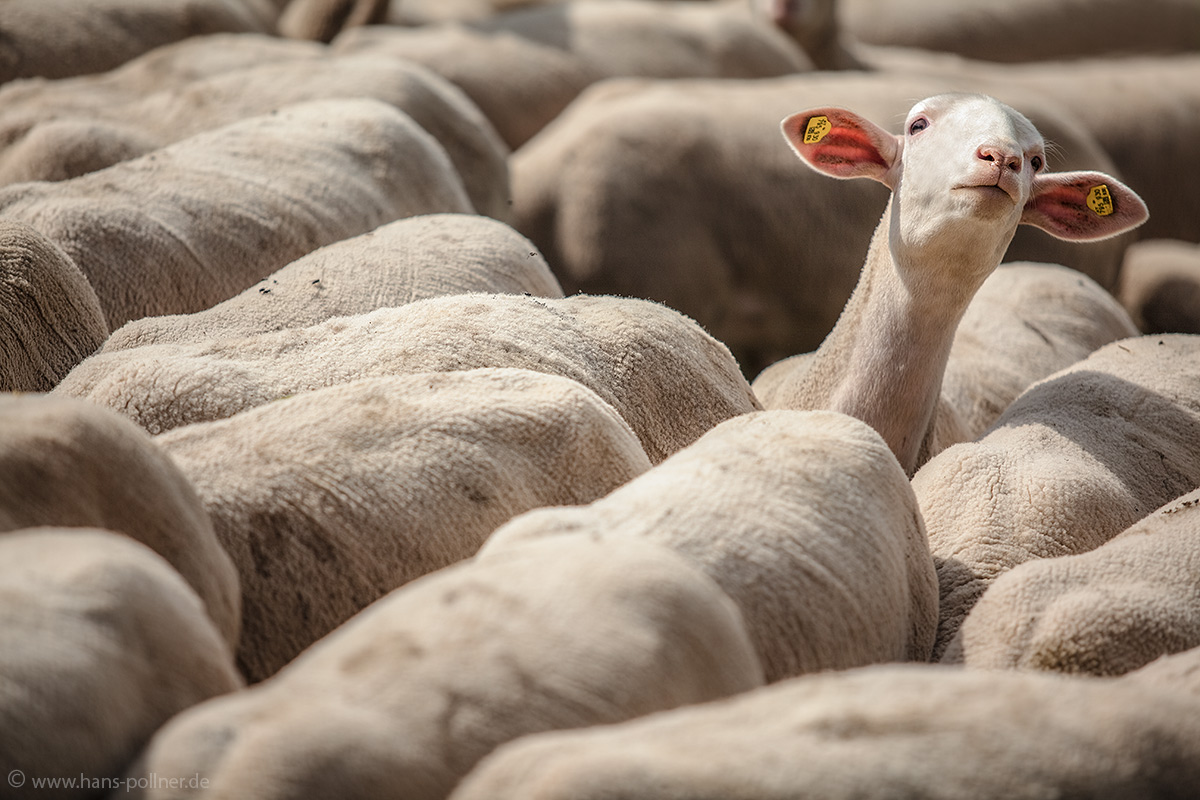 Sei neugierig! Foto & Bild | quatsch, fun und rätselecke, humorvolle ...