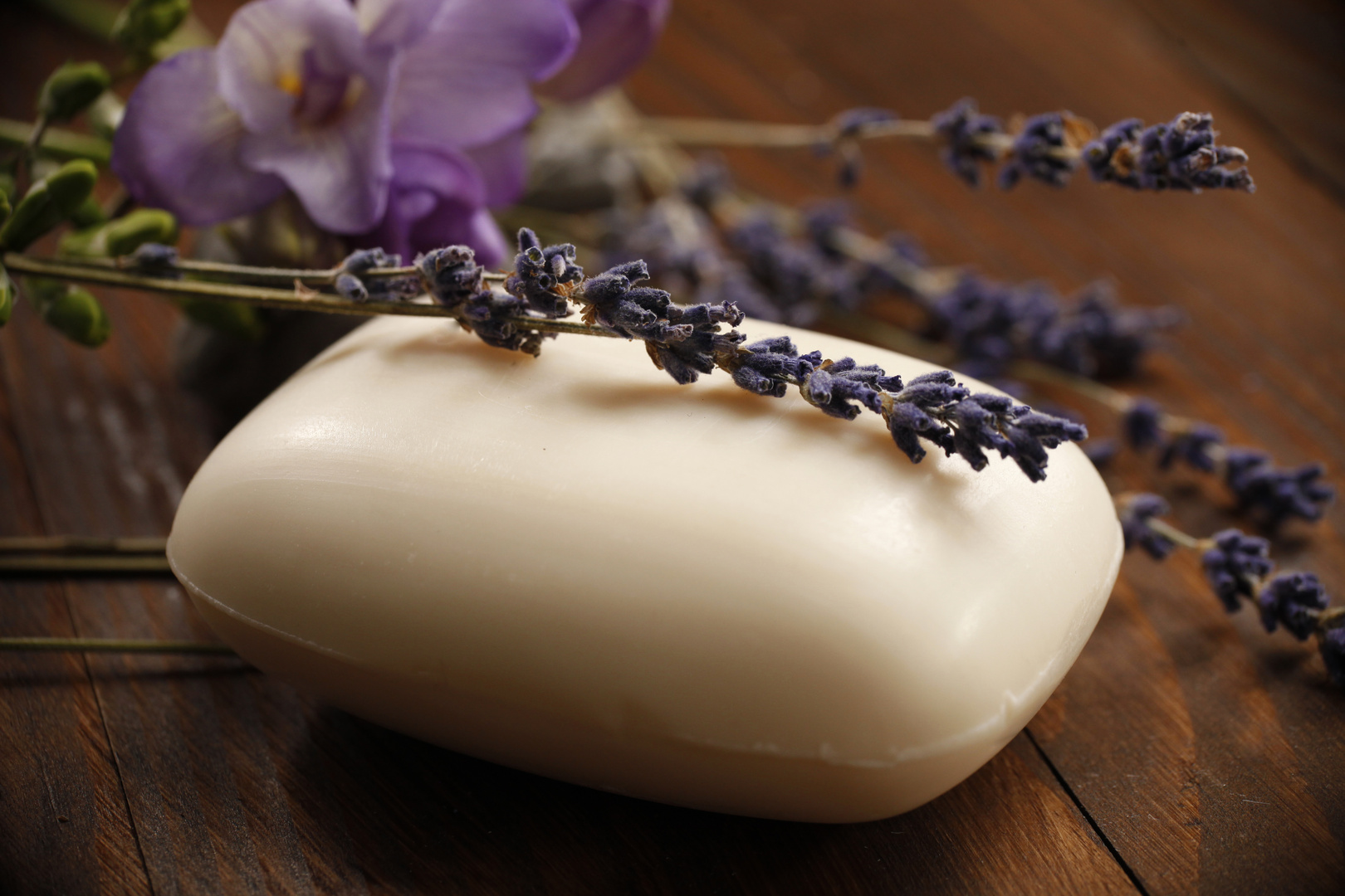 Seife Foto & Bild | pflanzen, pilze & flechten, blüten- & kleinpflanzen ...