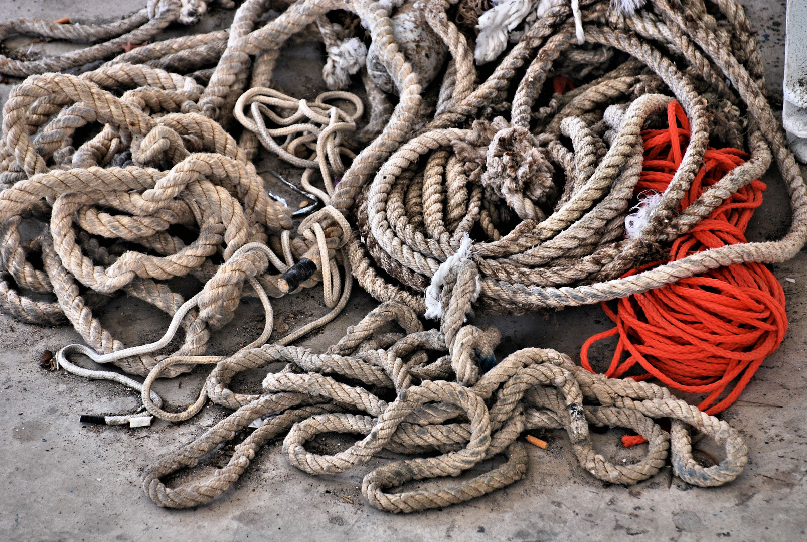 Seile Foto & Bild | meer, natur, leben Bilder auf fotocommunity