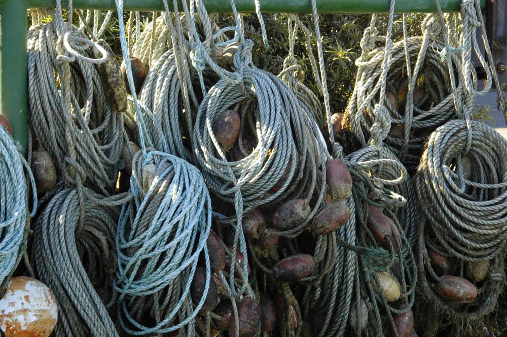 Seile, Taue, Stricke Foto & Bild | deutschland, europe, schleswig ...