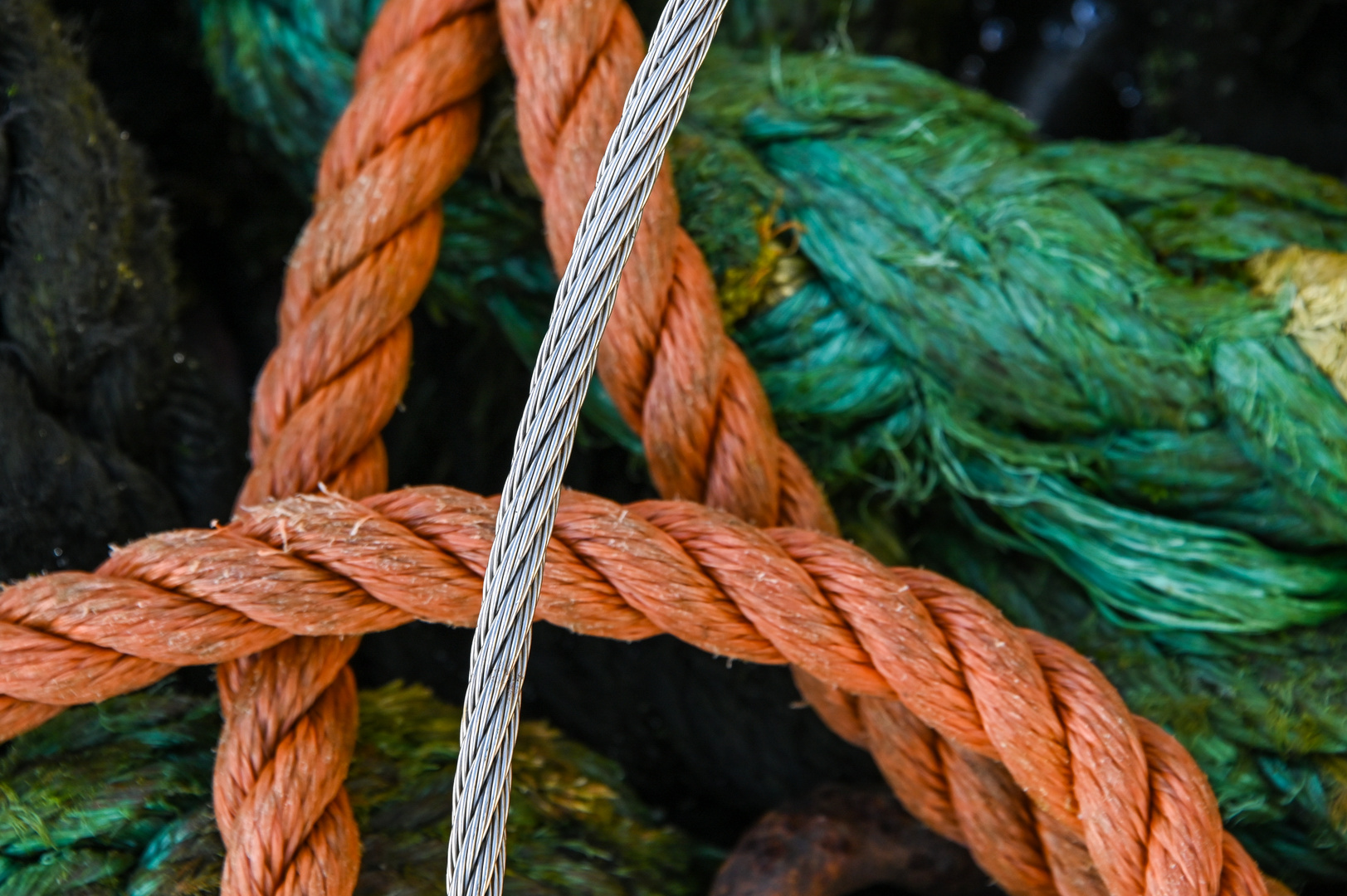 Seilschaft Foto & Bild | grün, orange, seil Bilder auf fotocommunity