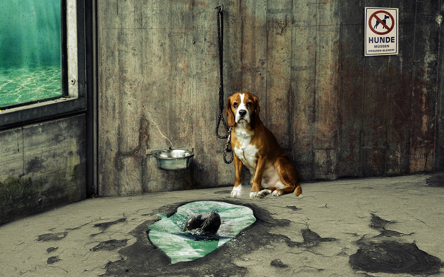 Selber schuld Foto & Bild | fotomontage, motive, wasser Bilder auf ...