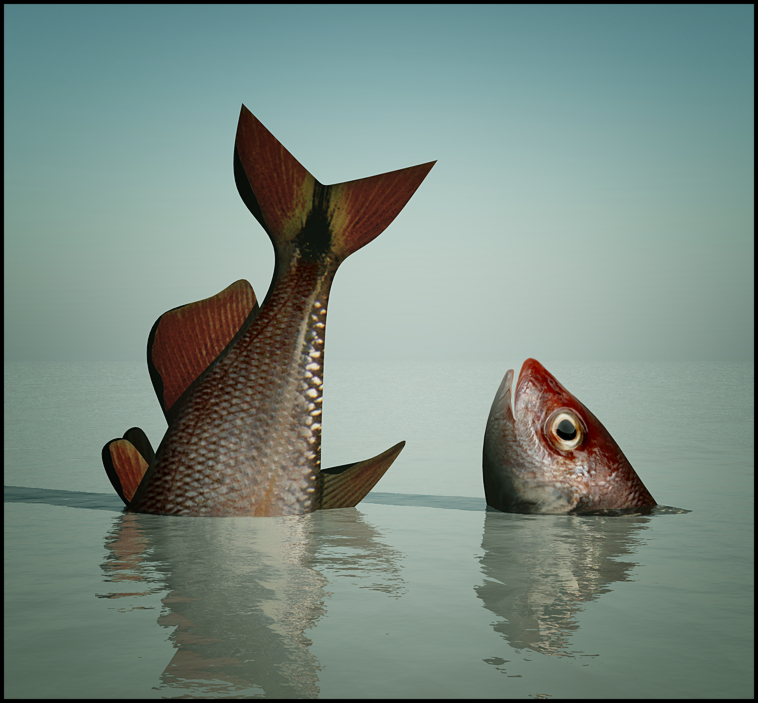 Selbstironie Foto & Bild | fotomontage, surreal, digiart Bilder auf fotocommunity