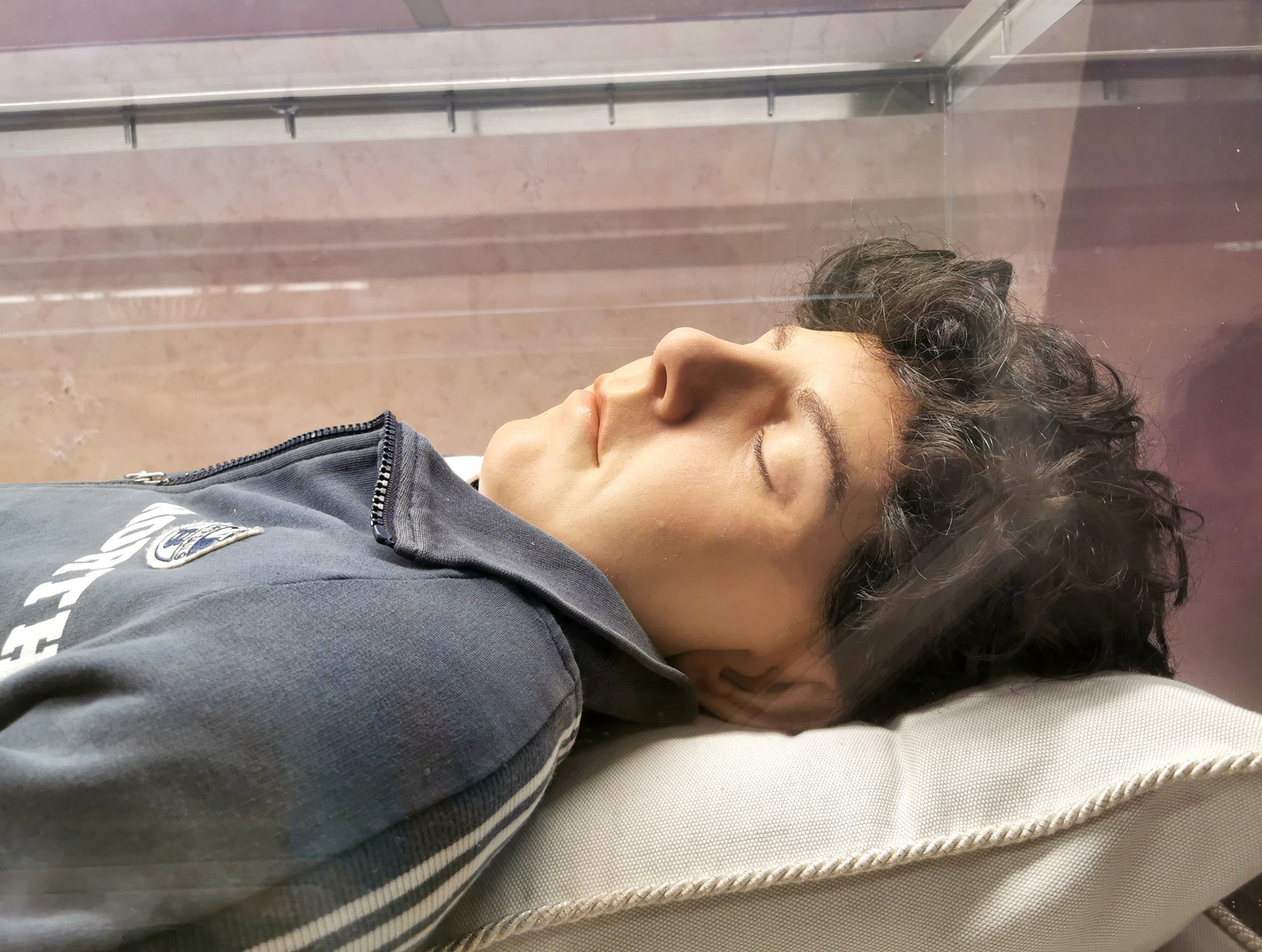 Seliger Carlo Acutis Foto & Bild | europe, italy, vatican city, s ...