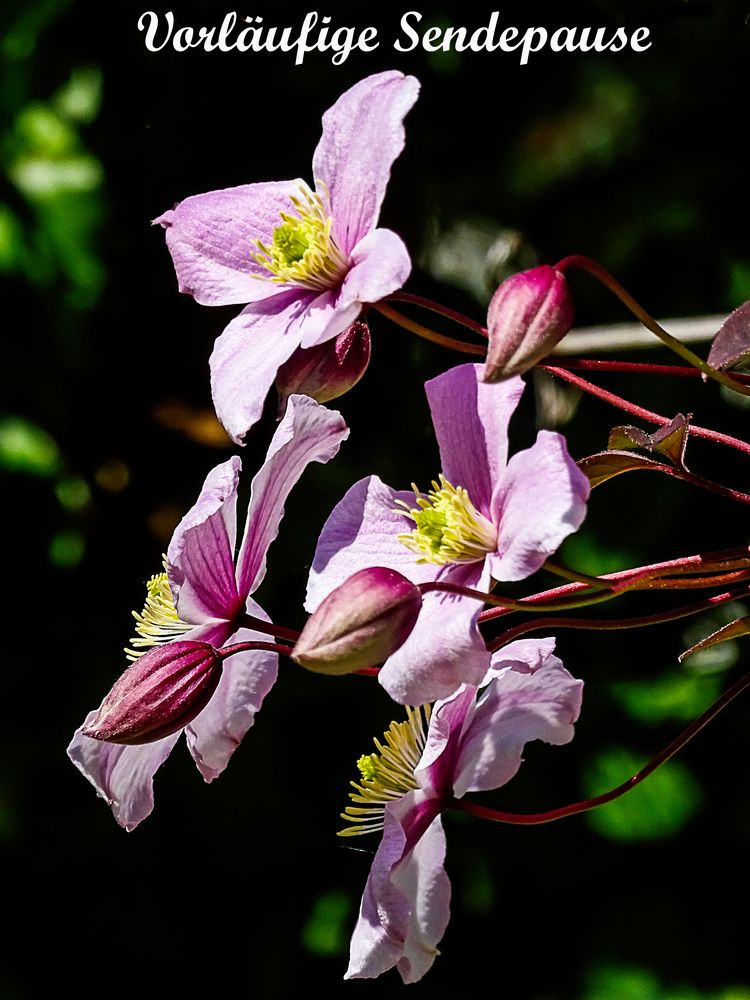 Sendepause Foto & Bild | world, deutschland, europe Bilder auf ...