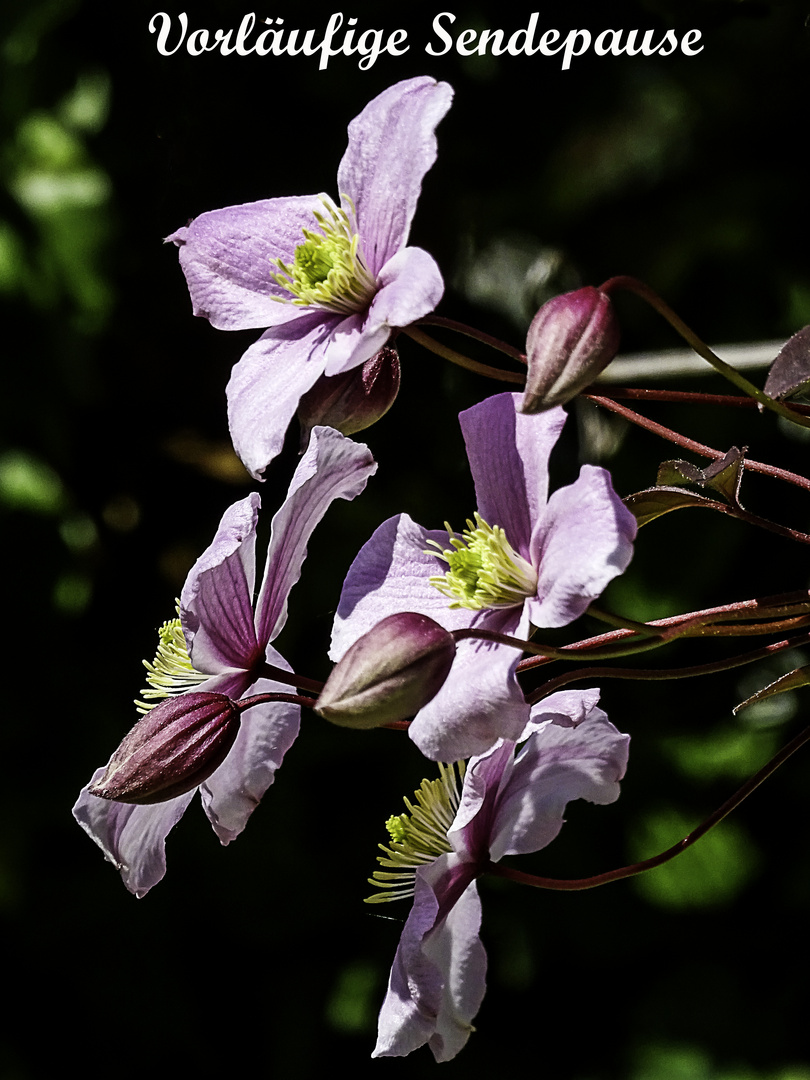 Sendepause Foto & Bild | world, deutschland, europe Bilder auf ...