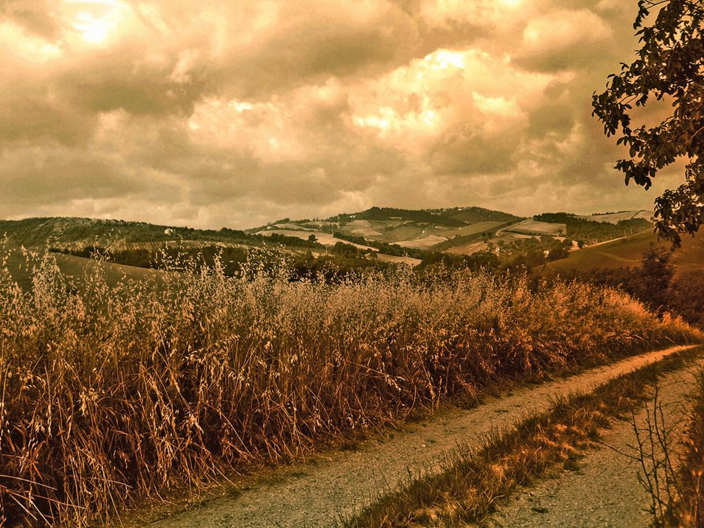 Sengende Hitze... Foto & Bild | italy, world, sommer Bilder auf ...